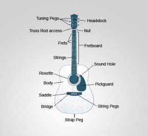 Acoustic Guitar Anatomy – Learn Guitar Club